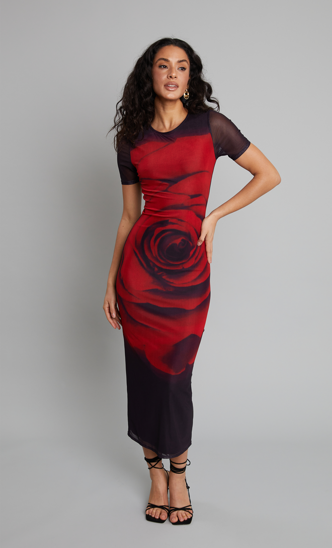 Party Dresses | Women's Party Dresses | Going Out Dress | Post-Lockdown ...